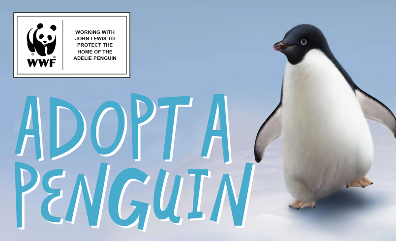 Why John Lewis’ Monty the Penguin Christmas campaign was such a hit ...