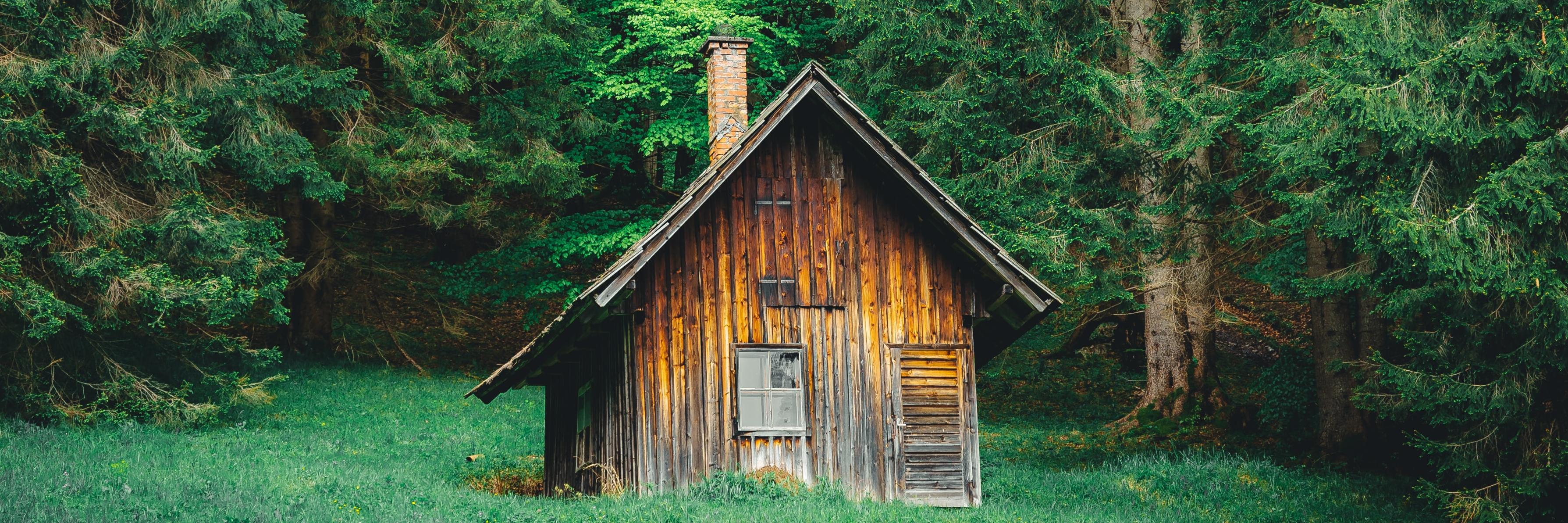 Looking beyond the wood for the trees | The Marketing Society