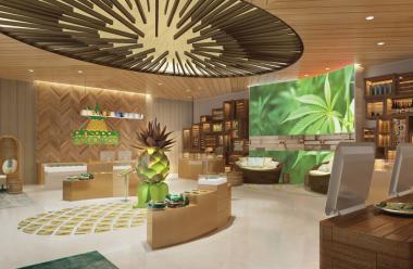 Design concept revealed for new US cannabis retail chain | The ...